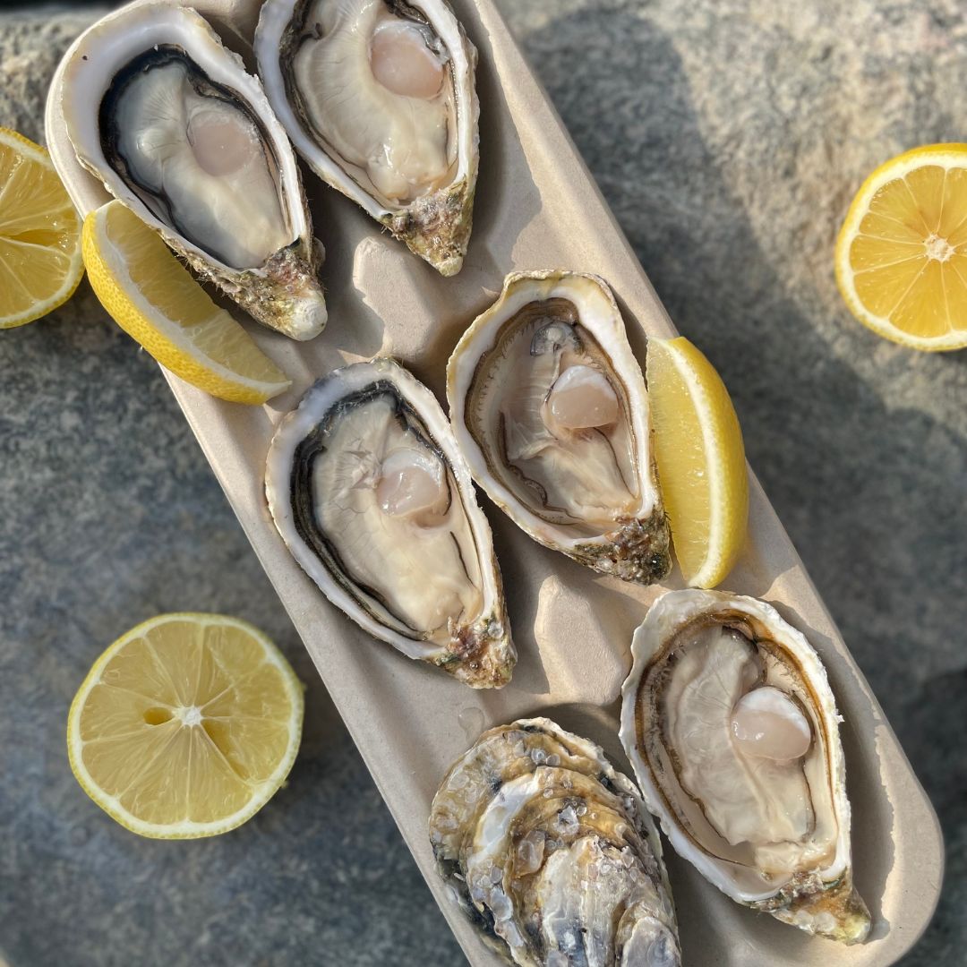 Shucked Oysters Size No.3 - Pick up only – Dibba Bay Restaurant